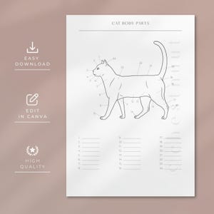 Cat Body Parts | Cat Anatomy | Feline Worksheet | Cat Body Worksheet ...