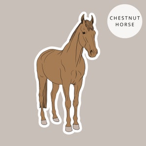 Custom Horse Sticker Horse Decal Personalized Equine Sticker Equestrian ...