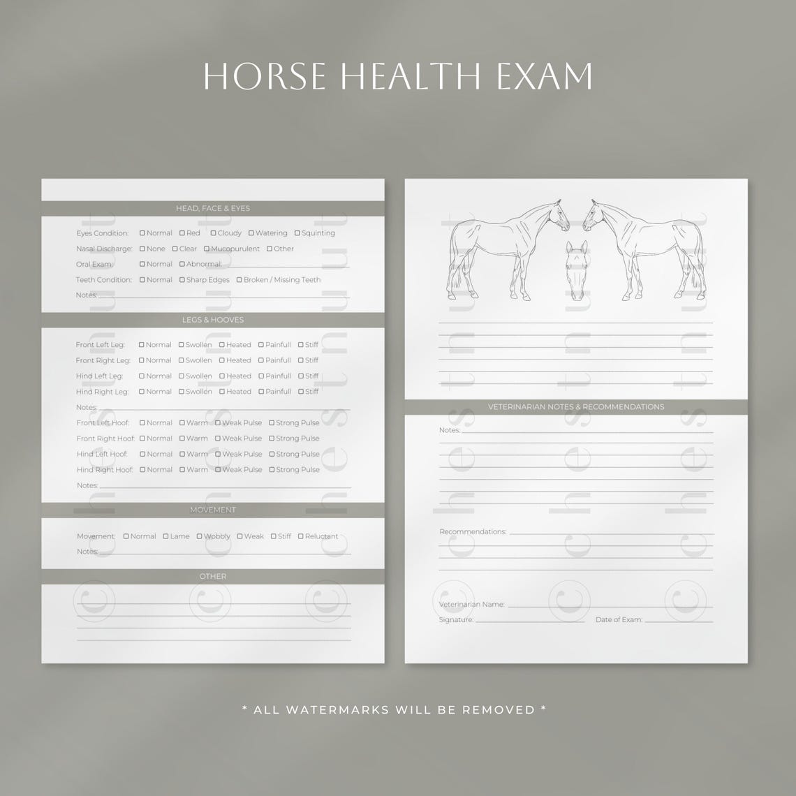 Horse Health Exam Form | Horse Physical Exam | Equine Form | Horse ...