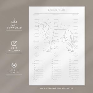 Dog Body Parts | Dog Anatomy | Canine Worksheet | Dog Body Worksheet ...