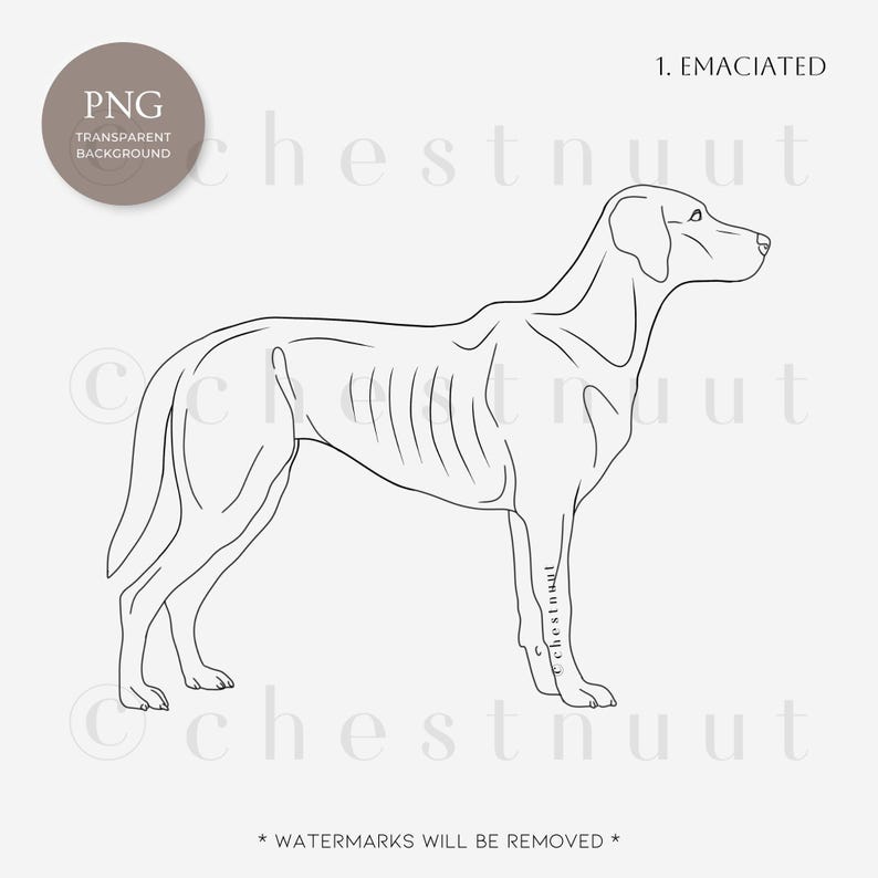 Dog Body Weight Line Art Bundle | Dog Body Condition Illustrations ...