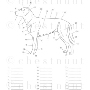 Dog Body Parts | Dog Anatomy | Canine Worksheet | Dog Body Worksheet ...