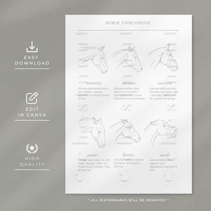 Horse Expressions Guide | Horse Moods Worksheet | Horse Emotions ...