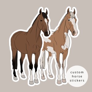 Custom Horse Sticker Horse Decal Personalized Equine Sticker Equestrian ...