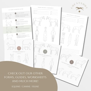 Horse Physical Assessment Form | Horse Bodywork | Equine Form | Horse ...