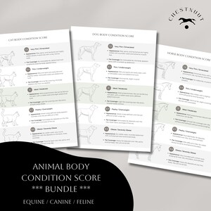 Cat Body Condition Score Chart | Feline Body Scoring Guide | Printable ...