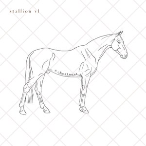 Horse Line Art Basic Standing Horse Bundle Outline Vector Handmade ...