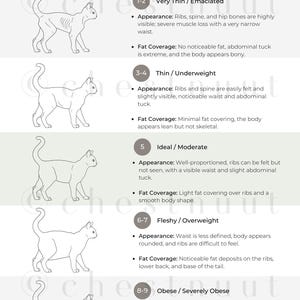 Cat Body Condition Score Chart | Feline Body Scoring Guide | Printable ...