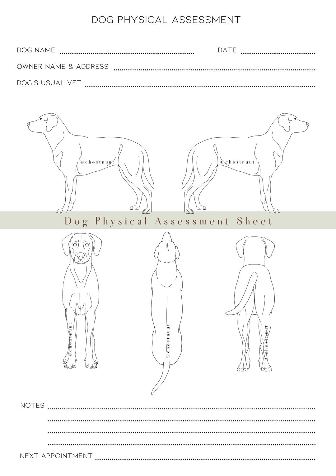 Dog Physical Assessment Form Dog Bodywork Dog Form Dog Anatomy Dog ...