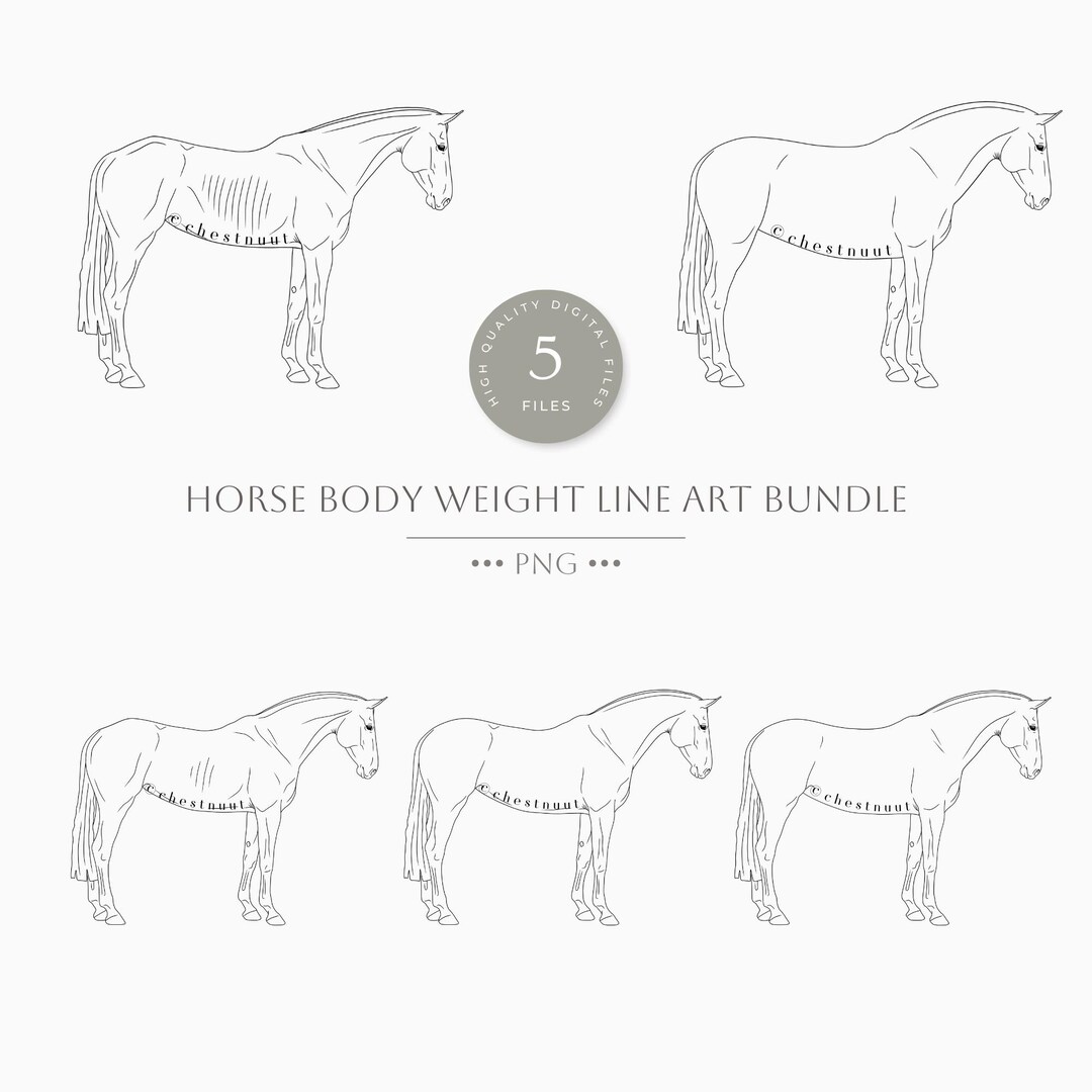 Horse Body Weight Line Art Bundle | Body Condition Illustrations ...