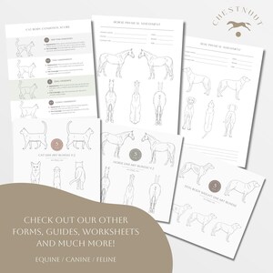 Cat Body Condition Score Chart | Feline Body Scoring Guide | Printable ...