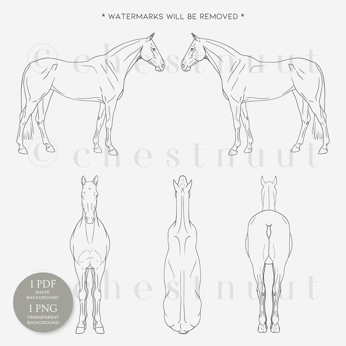 Horse Line Art Bundle V.1 | Standing Full Body Horse Illustration ...