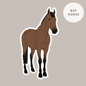 Custom Horse Sticker Horse Decal Personalized Equine Sticker Equestrian ...