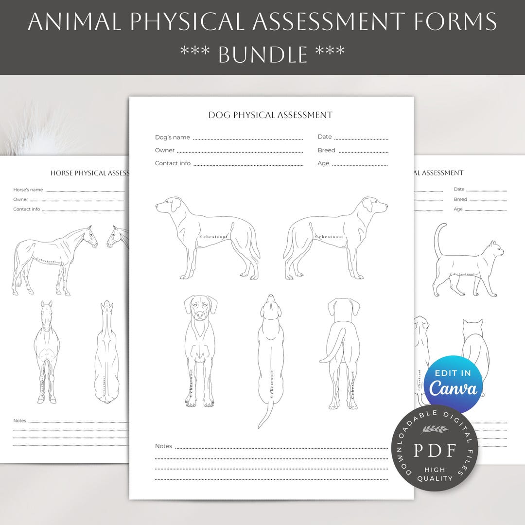 Animal Physical Assessment Forms Bundle | Dog Body Condition | Cat Body ...