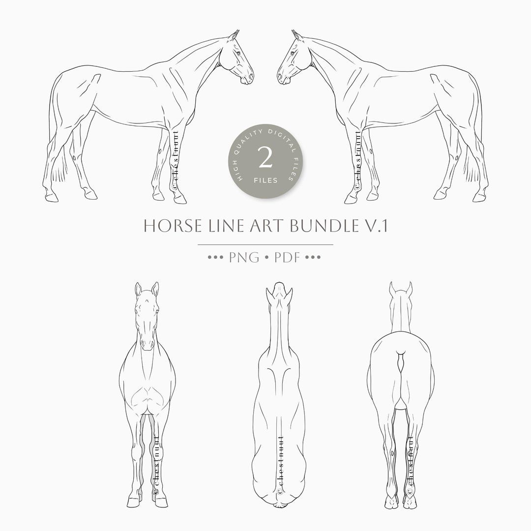 Horse Line Art Bundle V.1 | Standing Full Body Horse Illustration ...