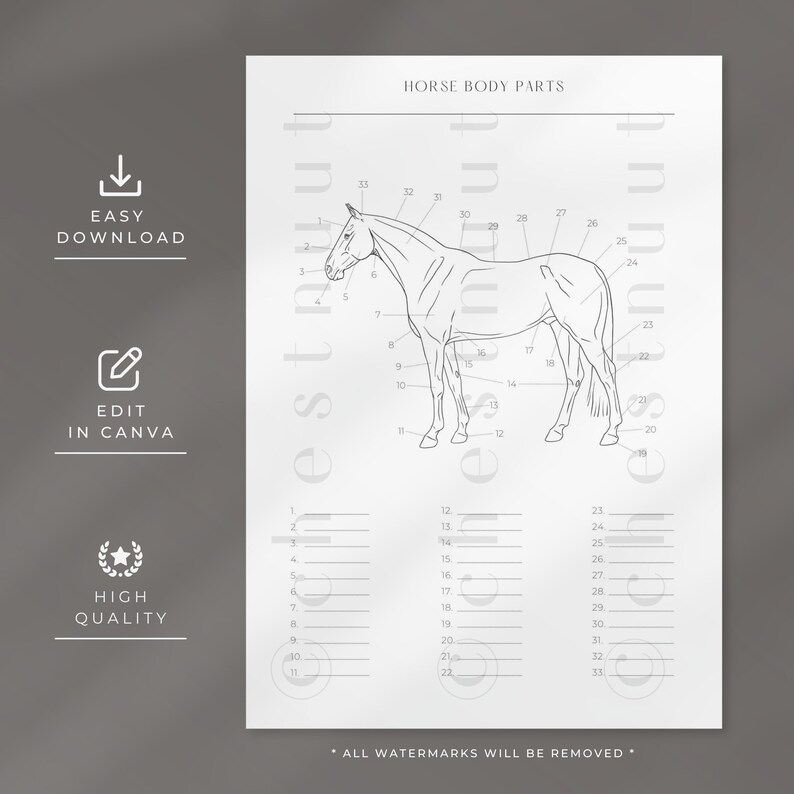 Animal Body Parts Diagram Bundle | Dog Anatomy | Cat Anatomy | Horse ...
