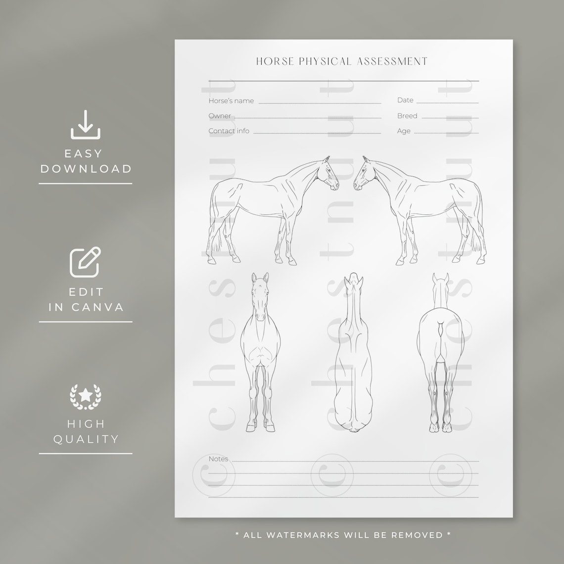 Horse Physical Assessment Form | Horse Bodywork | Equine Form | Horse ...