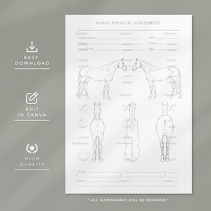 Horse Physical Assessment Form | Horse Bodywork | Equine Form | Horse ...