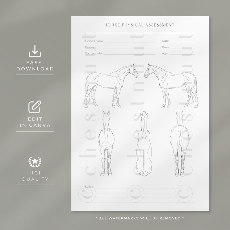Horse Physical Assessment Form | Horse Bodywork | Equine Form | Horse ...
