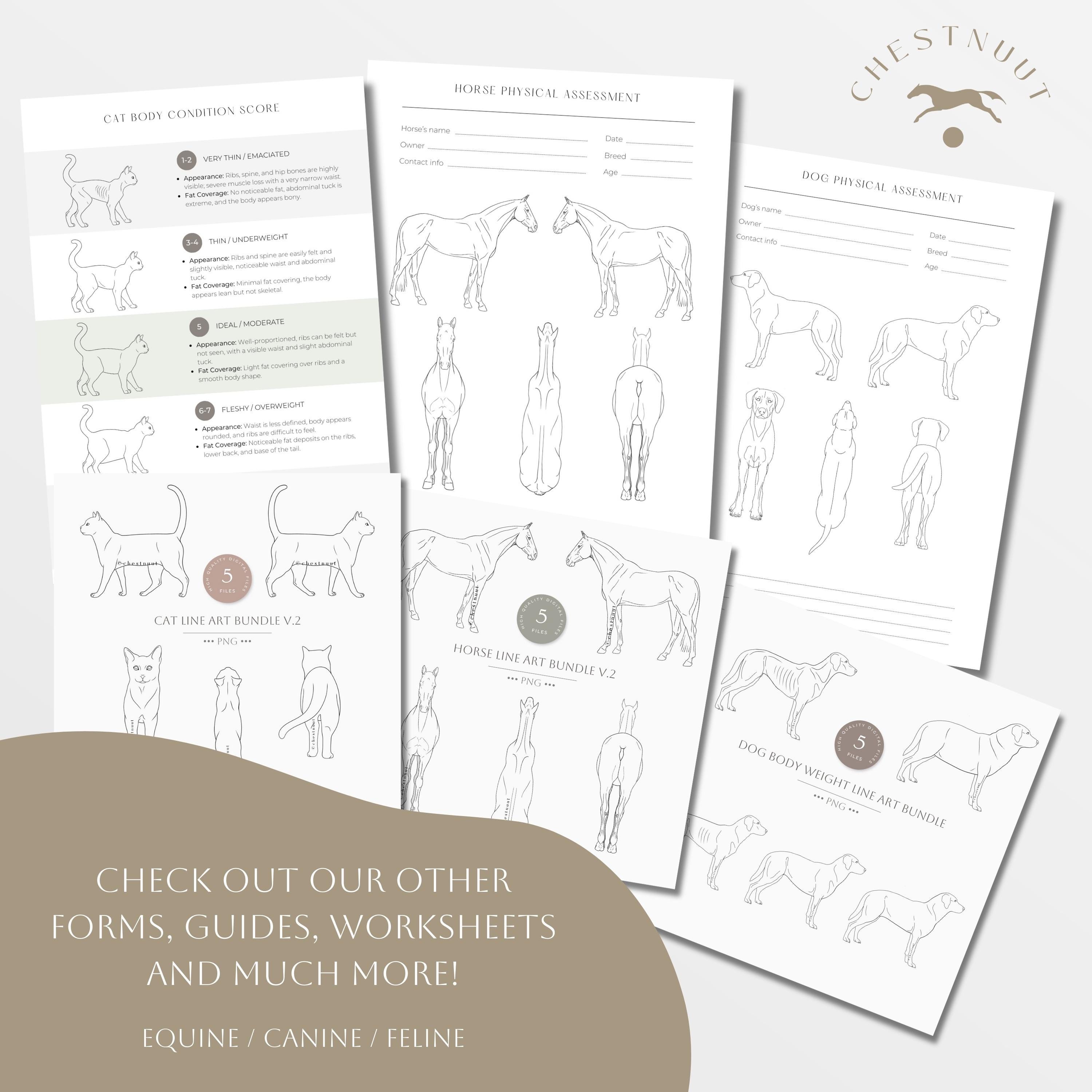 Dog Body Weight Line Art Bundle | Dog Body Condition Illustrations ...