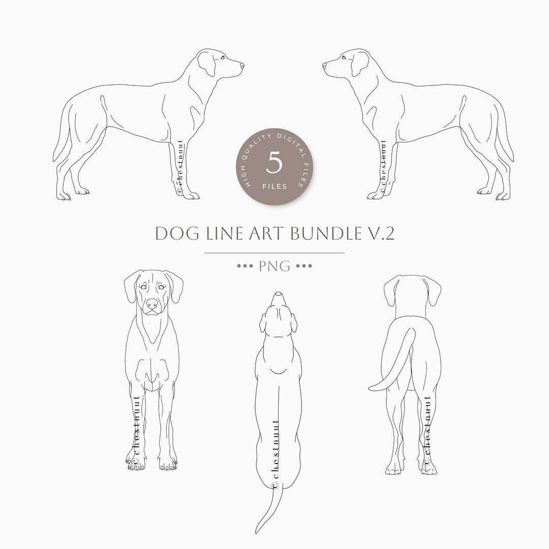 Dog Line Art Bundle V.2 | Dog Body Illustration | Dog Anatomy Outline ...