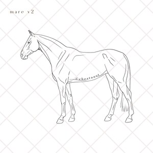 Horse Line Art Basic Standing Horse Bundle Outline Vector Handmade ...