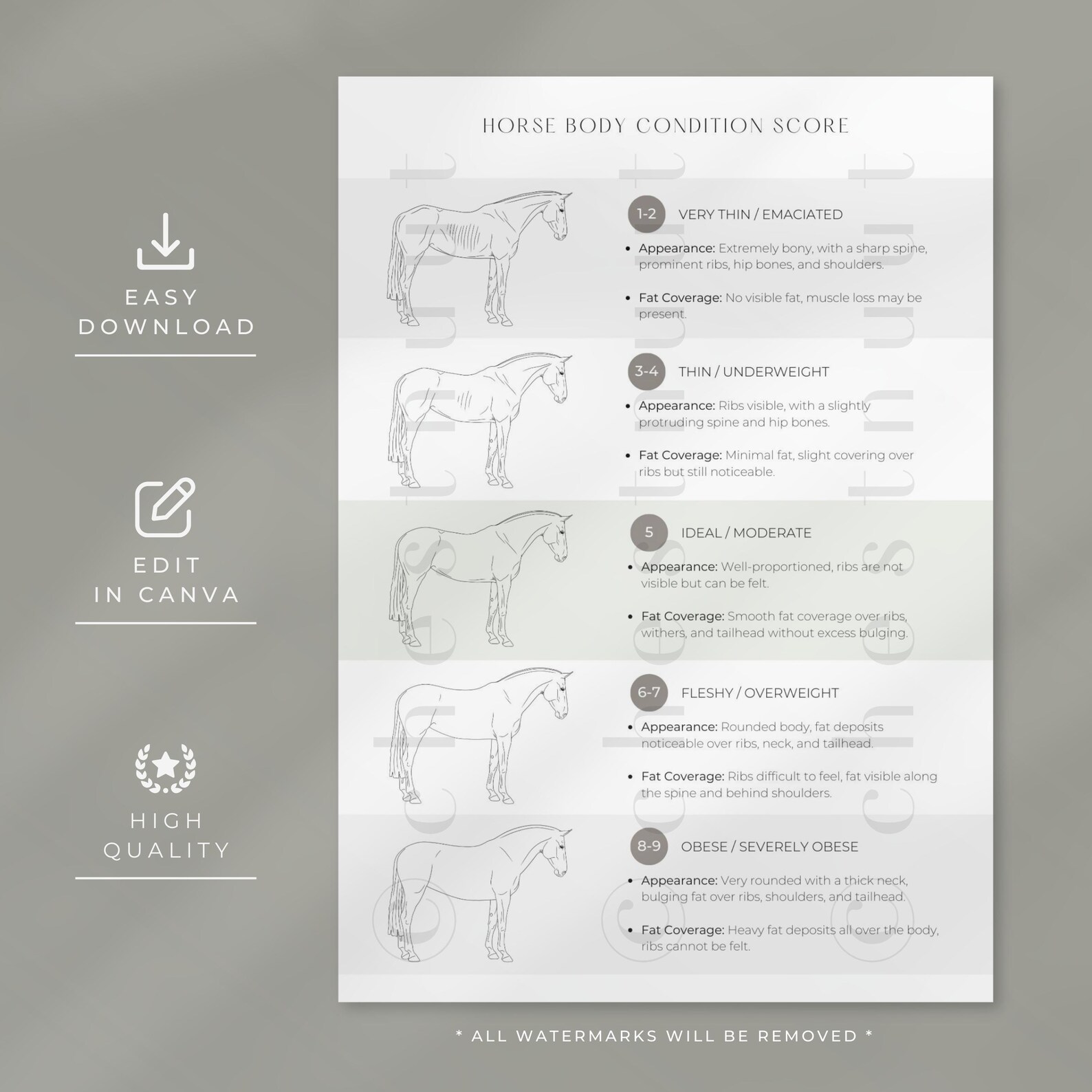 Horse Body Condition Score Chart | Equine Body Scoring Guide ...