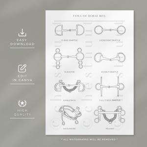 Horse Bridle Bits | Equine Worksheet | Horse Bits | Types of Bits ...