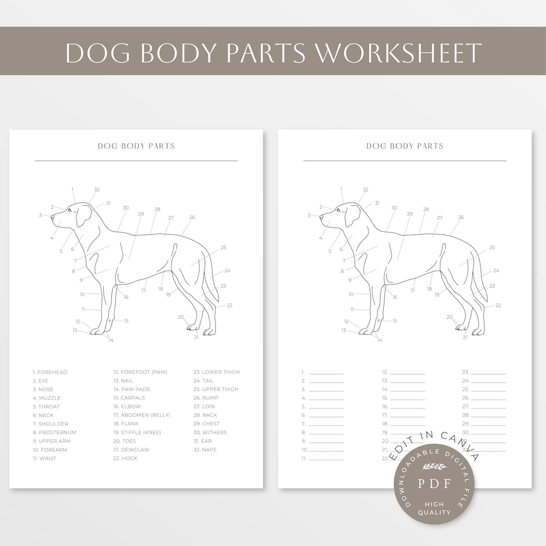 Dog Body Parts | Dog Anatomy | Canine Worksheet | Dog Body Worksheet ...