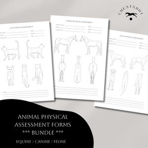 Dog Physical Assessment Form | Dog Bodywork | Dog Form | Dog Anatomy ...