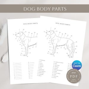 Dog Body Parts | Dog Anatomy | Canine Worksheet | Dog Body Worksheet ...