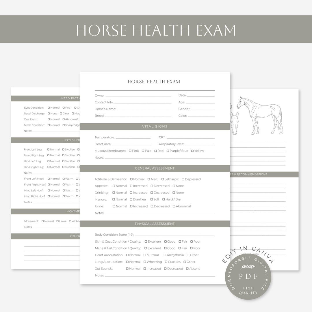 Horse Health Exam Form | Horse Physical Exam | Equine Form | Horse ...