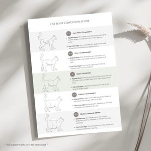Cat Body Condition Score Chart | Feline Body Scoring Guide | Printable ...