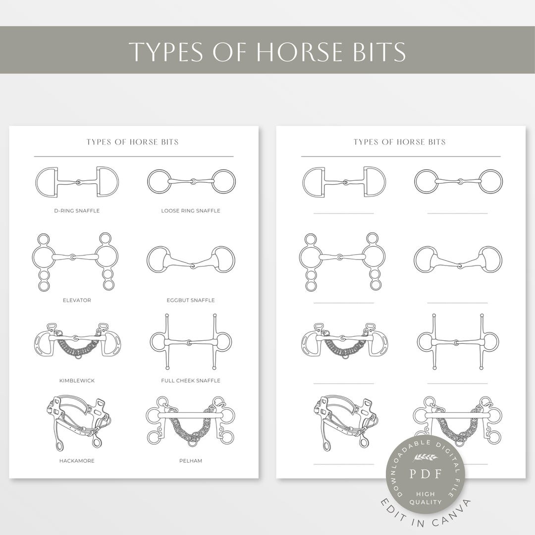 Horse Bridle Bits | Equine Worksheet | Horse Bits | Types of Bits ...