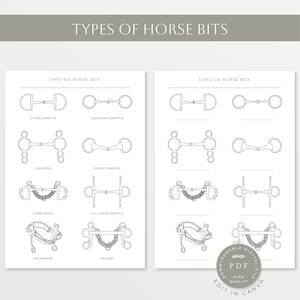 Horse Bridle Bits | Equine Worksheet | Horse Bits | Types of Bits ...