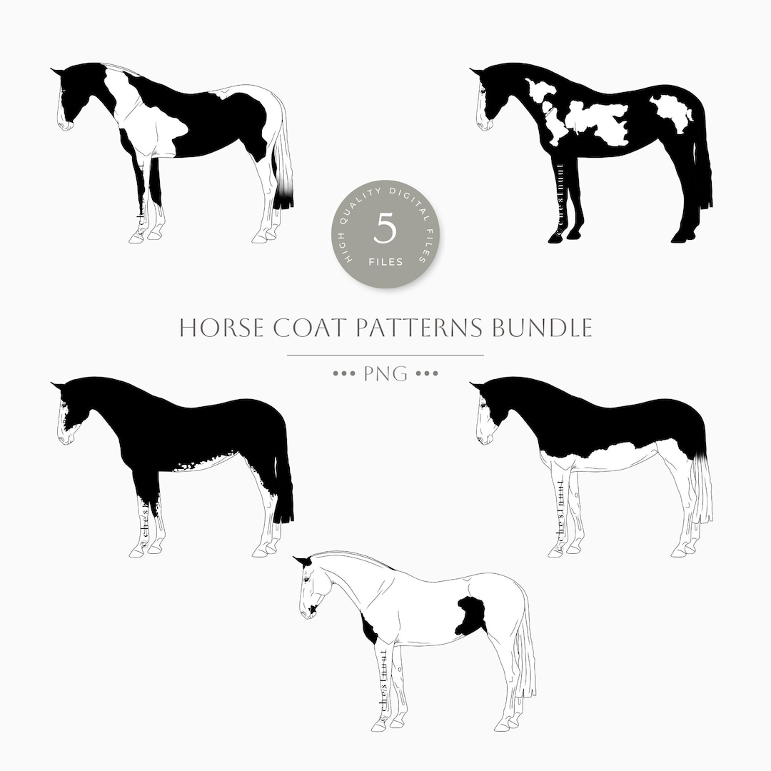 Paint Horse Coat Patterns Line Art Bundle | Horse Coat Patterns Illustrations | Horse Pattern ...