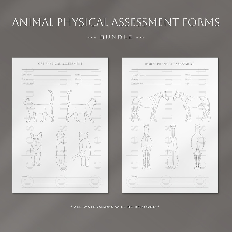Animal Physical Assessment Forms Bundle | Dog Body Condition | Cat Body ...