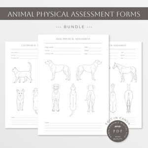 Animal Physical Assessment Forms Bundle | Dog Body Condition | Cat Body ...
