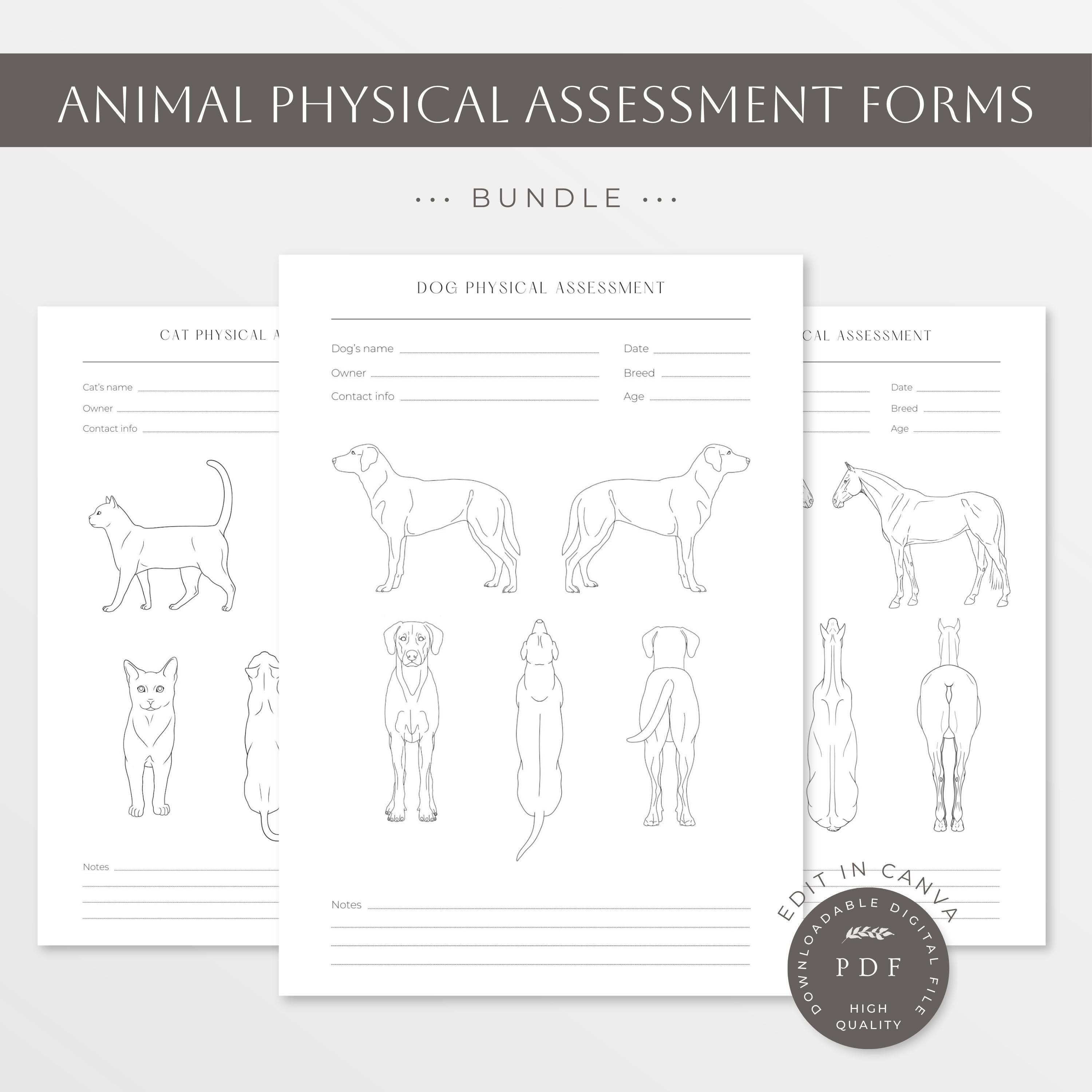 Animal Physical Assessment Forms Bundle | Dog Body Condition | Cat Body ...