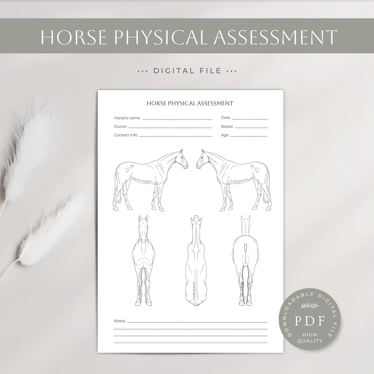 Horse Physical Assessment Form | Horse Bodywork | Equine Form | Horse ...