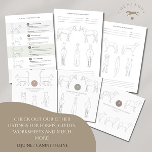 Cat Body Condition Score Chart | Feline Body Scoring Guide | Printable ...