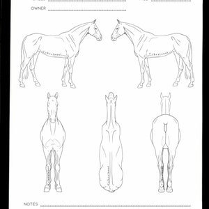 Horse Physical Assessment Form | Horse Bodywork | Equine Form | Horse ...