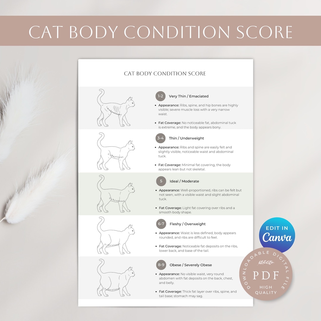 Cat Body Condition Score Chart | Feline Body Scoring Guide | Printable ...