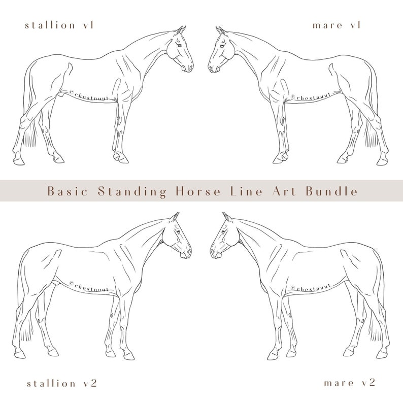 Horse Line Art Basic Standing Horse Bundle Outline Vector Handmade ...