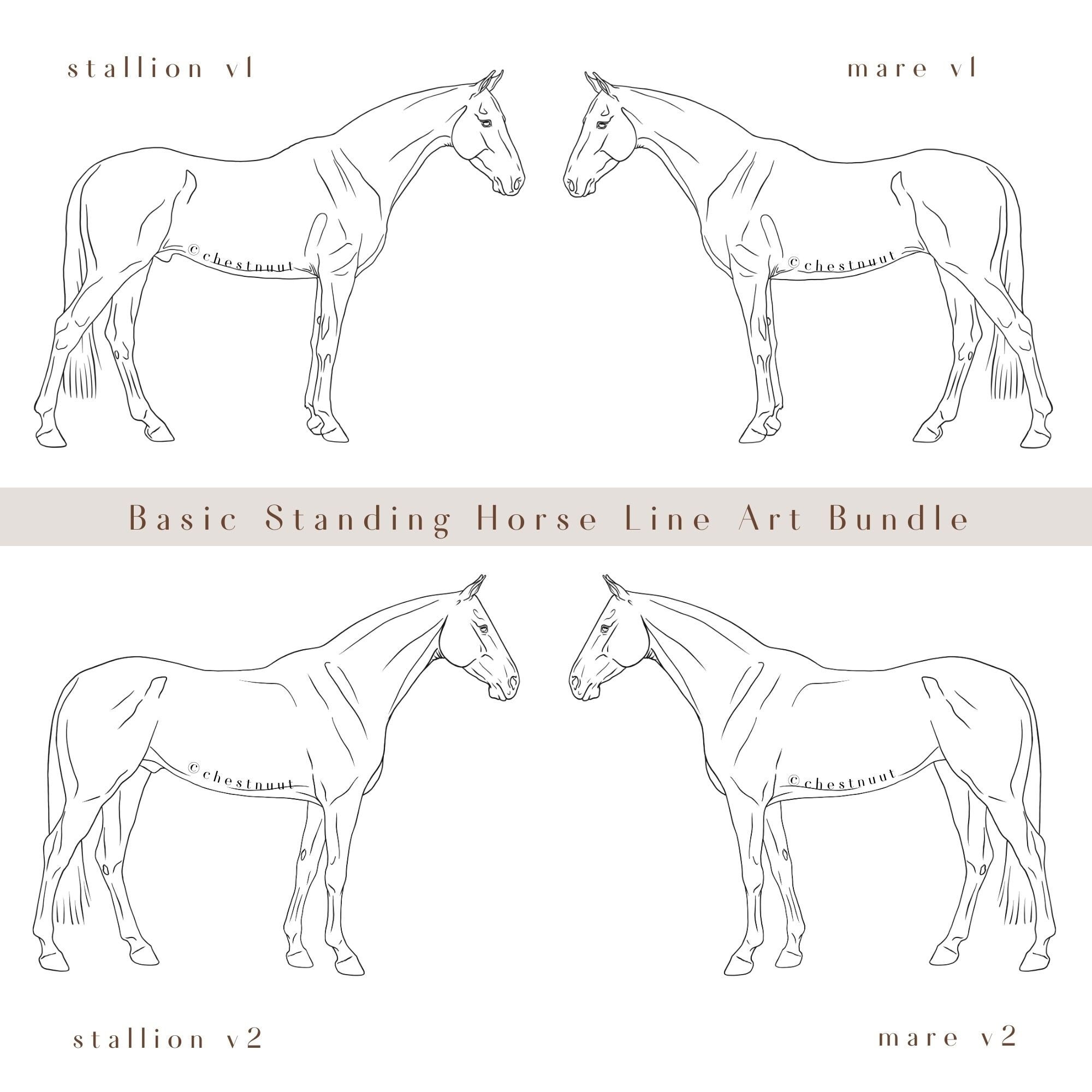 Horse Line Art Basic Standing Horse Bundle Outline Vector Handmade ...
