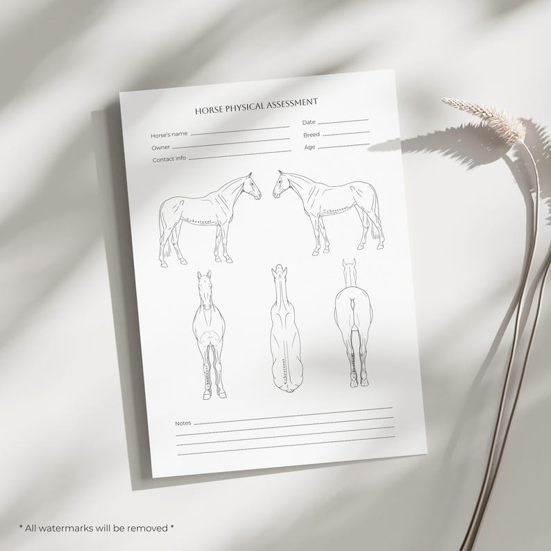 Horse Physical Assessment Form | Horse Bodywork | Equine Form | Horse ...