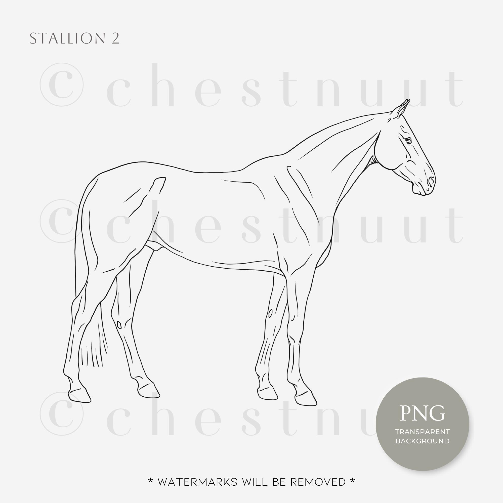Horse Line Art Bundle V.3 | Standing Horse Illustration | Equine Art ...