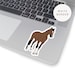 Custom Horse Sticker Horse Decal Personalized Equine Sticker Equestrian ...
