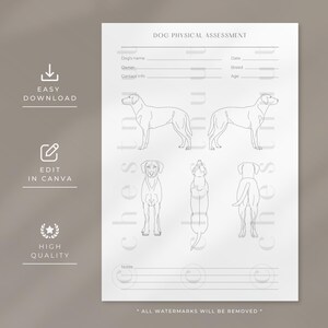 Dog Physical Assessment Form | Dog Bodywork | Dog Form | Dog Anatomy ...