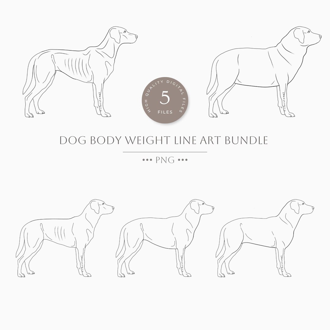 Dog Body Weight Line Art Bundle | Dog Body Condition Illustrations ...